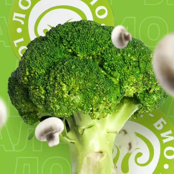 Логал-Био — Корпоративный сайт | spektr.digital